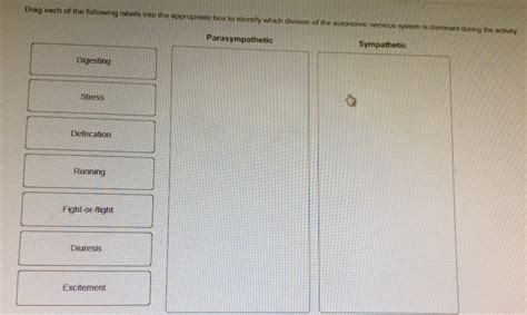 Solved Drag Each Of The Following Labels Into The
