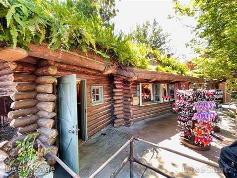 Disneyland Briar Patch Shop Reopened Micechat Micechat
