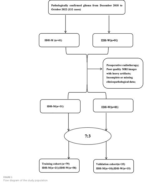 Figure 1 From The Value Of Multiparametric Mri Radiomics In Predicting Idh Genotype In Glioma