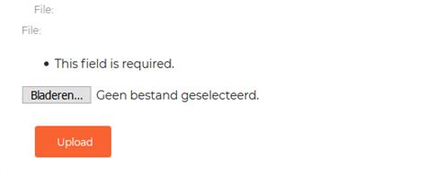 Python Django File Field Isnt Showing Up The First Time When I Load The Page Stack Overflow