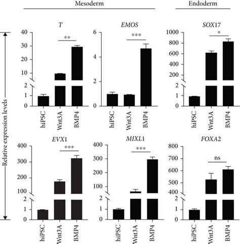 Codifferentiation Of Hepatocytes And Nonparenchymal Cells A Download Scientific Diagram