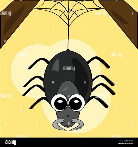 Invertebrate Spider Stock Vector Images Alamy