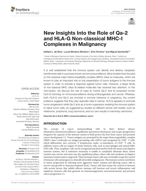 Pdf New Insights Into The Role Of Qa 2 And Hla G Non Classical Mhc I Complexes In Malignancy