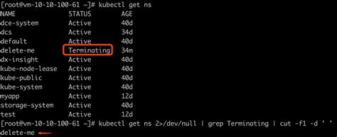 Kubernetes Namespace Delete Stuck In Terminating State 一个伪linux粉丝的blog