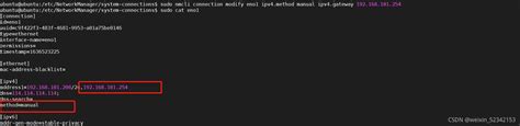 ubuntu18 04 server 启用networkmanager服务 nmcli配置网络信息 启动 networkmanage csdn博客