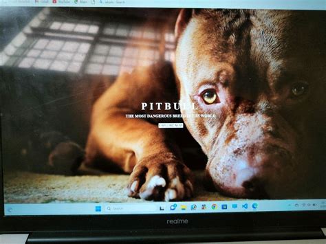 Ankit Kumar On Linkedin Webdevelopment Theshreyanshcodingschool