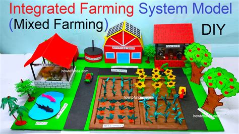 Integrated Farming System Ifs Model Project Mixed Crop For Science Exhibition Howtofunda