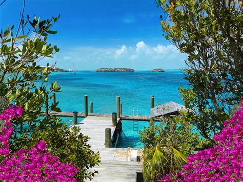 Tropics