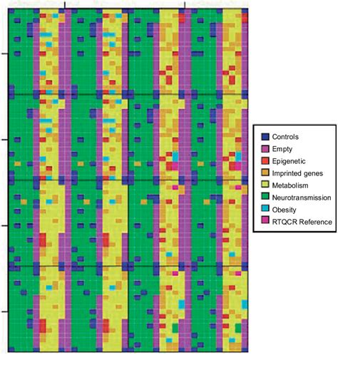 Figure 2 From An Oligonucleotide Microarray For Mouse Imprinted Genes Profiling Semantic Scholar