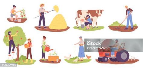 사람들은 농장 일을합니다 현장 농민 수확에 대한 농촌 작업 국내 가축에게 먹이를주는 농업 노동자 정원에서 건강한 유기농 식품 따기 화려한 벡터 일러스트 레이 션 여자에 대한