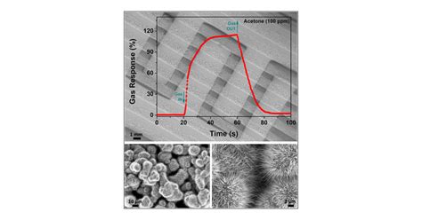 3d printed chemiresistive sensor array on nanowire cuo cu2o cu