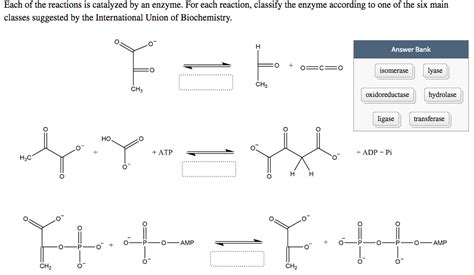 Solved Each Of The Reactions Is Catalyzed By An Enzyme For