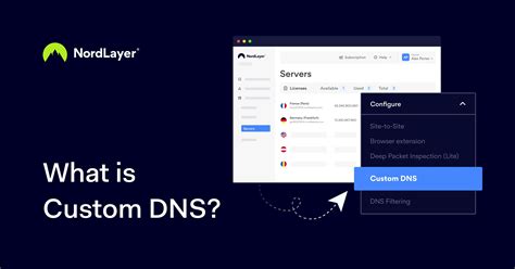 What Is Custom DNS Custom DNS Setup NordLayer