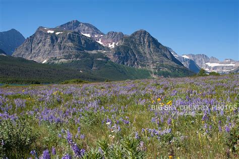Big Sky Country Montana Landscapes Including Glacier National Park