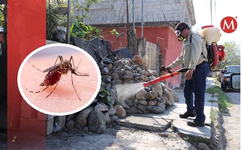 Hidalgo Acumula Ocho Casos De Dengue En 2023 Grupo Milenio