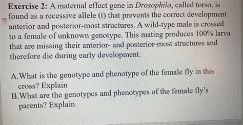 Solved Exercise 2 A Maternal Effect Gene In Drosophila