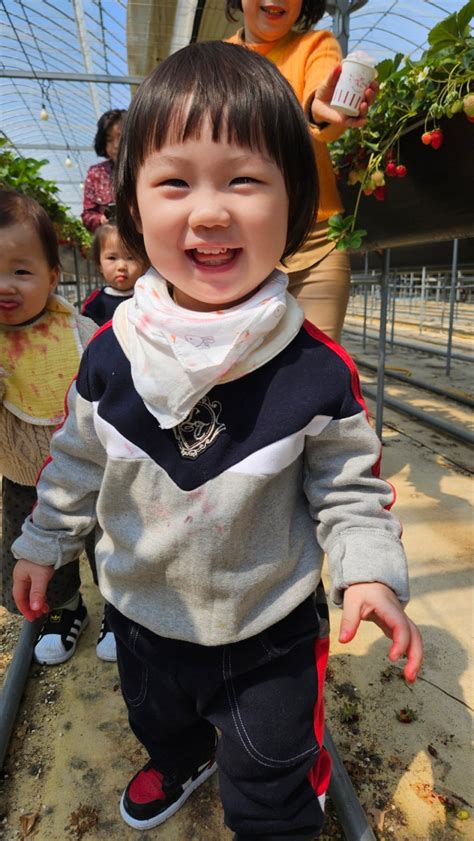 딸기 따기 체험 고령 여왕딸기 네이버 블로그