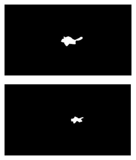 Results Of Distant Moving Object Detection A Original Images B