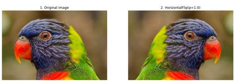 深度学习系列 Albumentations数据增强方法（可结合pytorch调用）albumentations