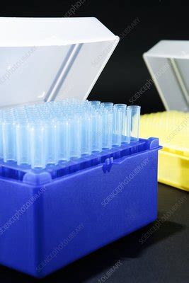 Laboratory Storage Boxes Stock Image F Science Photo Library