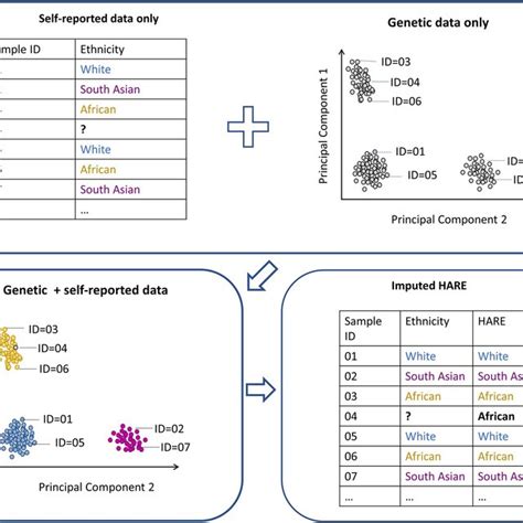 Validation And Imputation Of Self Reported Ethnicity Using Genetic Download Scientific Diagram