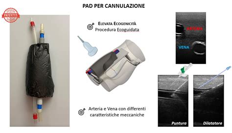 Ecmo Cannulation Simulation Compmech