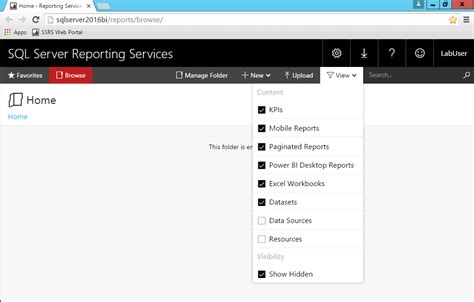 Reporting Services Content Section Not Showing In View Menu Ssrs