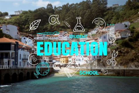 The Role Of Custom Lms Development Companies