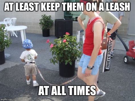Sheltering Suburban Mom Meme Imgflip