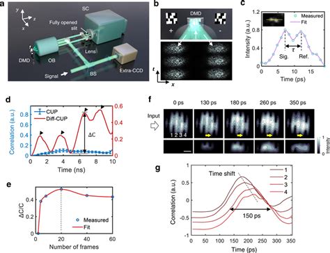 Coded Diff Cup Imaging Of Propagating Emps In An Ln Crystal A
