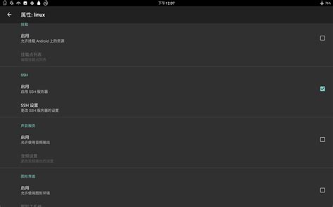 安卓通过linuxdeploy安装linux ——三星p600平板电脑三星p600刷lineage Csdn博客