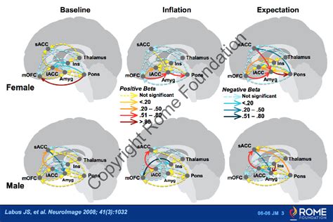 Age Gender Estimated Effective Conductivity Differences Between Men And Women Rome Online