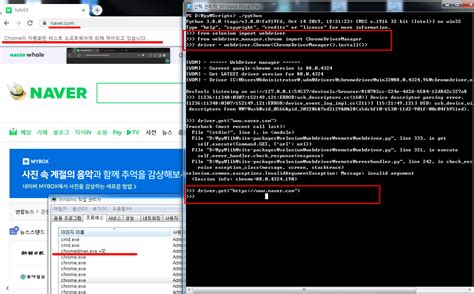 셀레늄 및 웹드라이버 매니저 설치