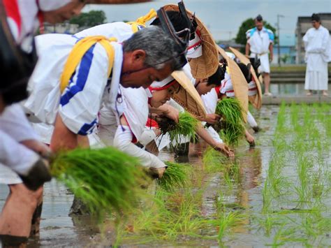 伊勢神宮の神田で神田御田植初 伊勢志摩経済新聞