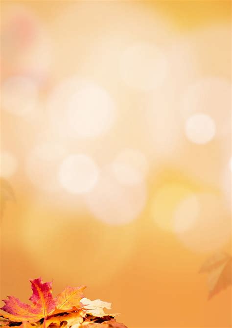 Maple Leaf Border Background Premium Photo Rawpixel