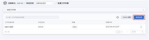 创建批量工作负载 Daocloud Enterprise