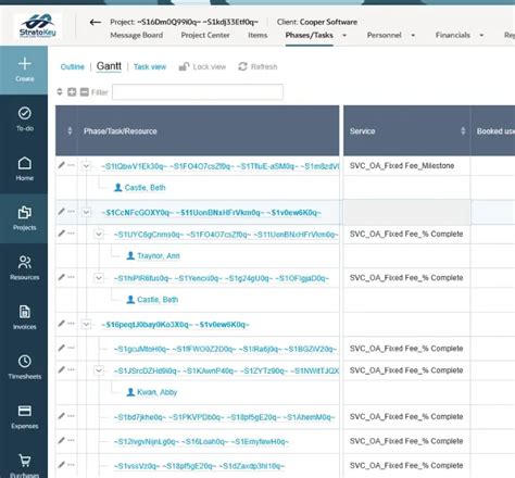 Netsuite Suiteprojects Pro Encryption And Compliance Solution