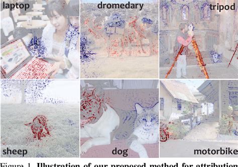 Figure 1 From Generating Attribution Maps With Disentangled Masked Backpropagation Semantic