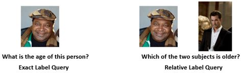 Illustration Of Exact And Relative Label Queries Download Scientific Diagram