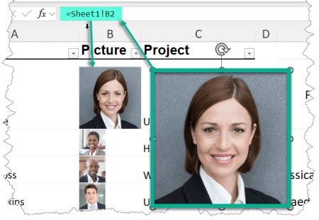 Insert Image In Excel Cell And Lookup Images Xelplus Leila Gharani