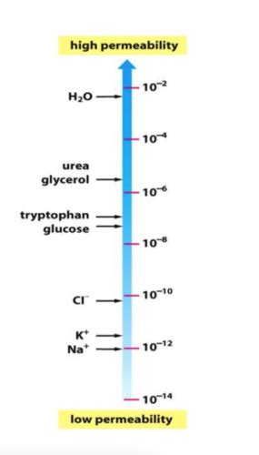 Biol 260 Lecture 5 Flashcards Quizlet