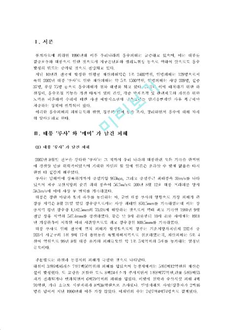 홍수와 자연재해에 대하여기타레포트