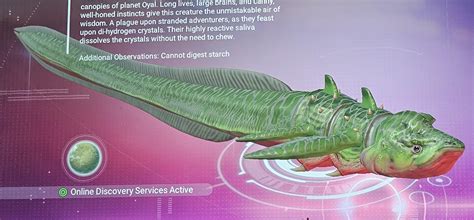 Anyone Have An Egg For An Eel Bodied Worm Rnomansskythegame