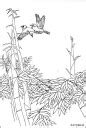 工笔素材竹子高清白描线稿图片41幅