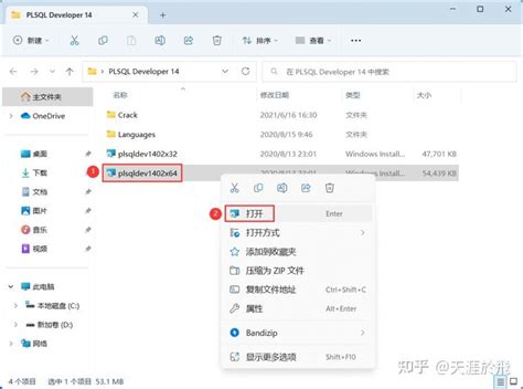 Plsql Developer 14软件包下载附安装教程 知乎