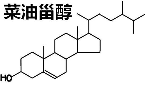 植物甾醇 植物甾烷醇酯 知乎