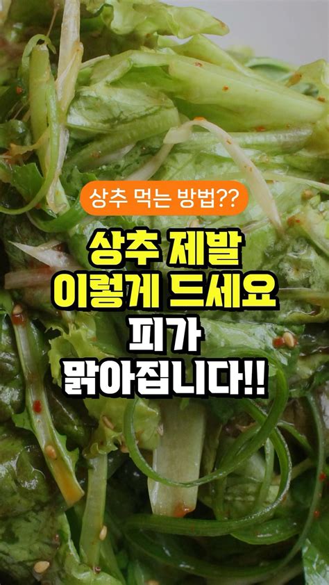 상추 제발 이렇게 드세요 피가 맑아집니다 상추와 함께 먹으면 좋은 음식 상추 먹는 3가지 방법 50대 중년 이후 필수 건강 관리 방법 3가지 주의사항