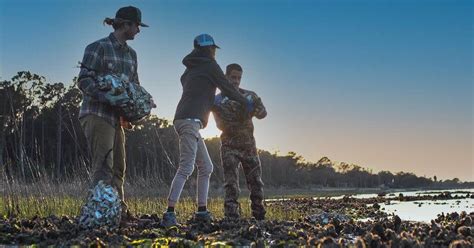 Toadfish Selects Obviouslee As Pr And Marketing Agency Press Releases