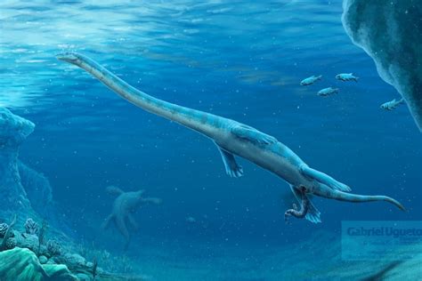 Fosil Naga Laut Berusia 240 Juta Tahun Ditemukan Dalam Keadaan Lengkap