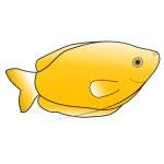 Amphiprion Percula Fish Vector Illustration Free Svg